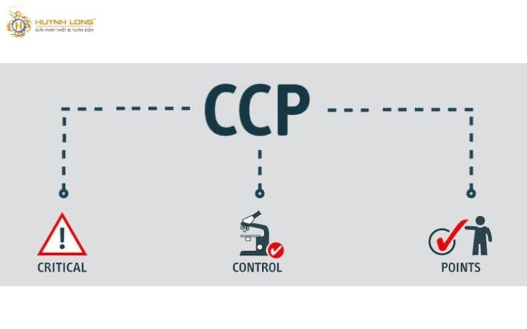 CCP là gì? Các CCP trọng yếu trong sản xuất thực phẩm